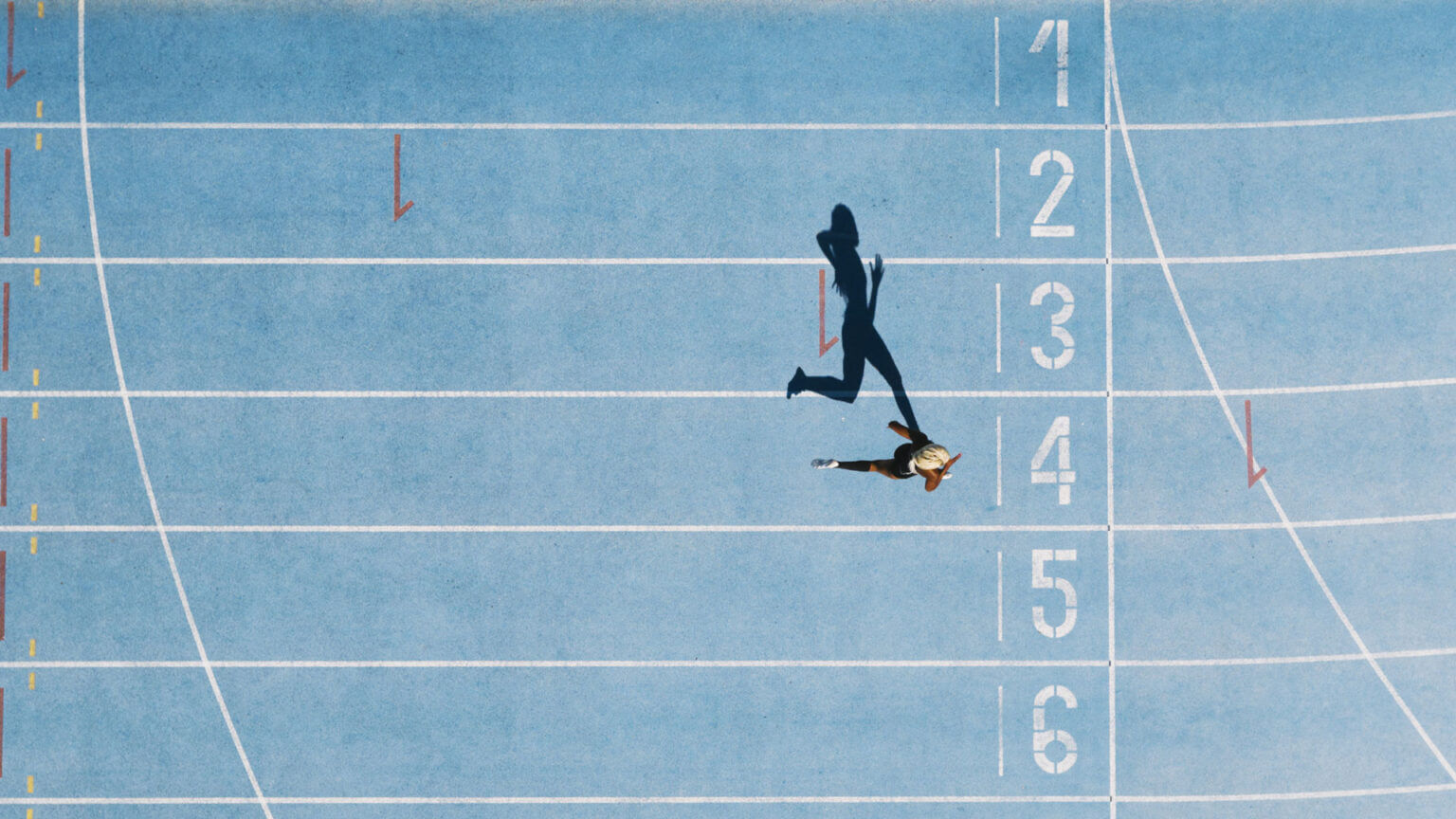 How To Create an Effective Survey Questionnaire — Cint™