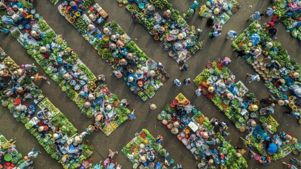 Survey Sampling Methods & Techniques | Lucid