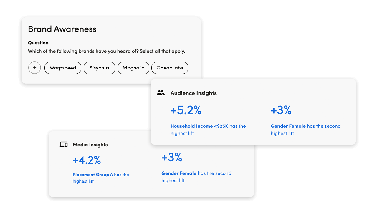 Maximize the impact of your brand campaigns - Lucid Measurement